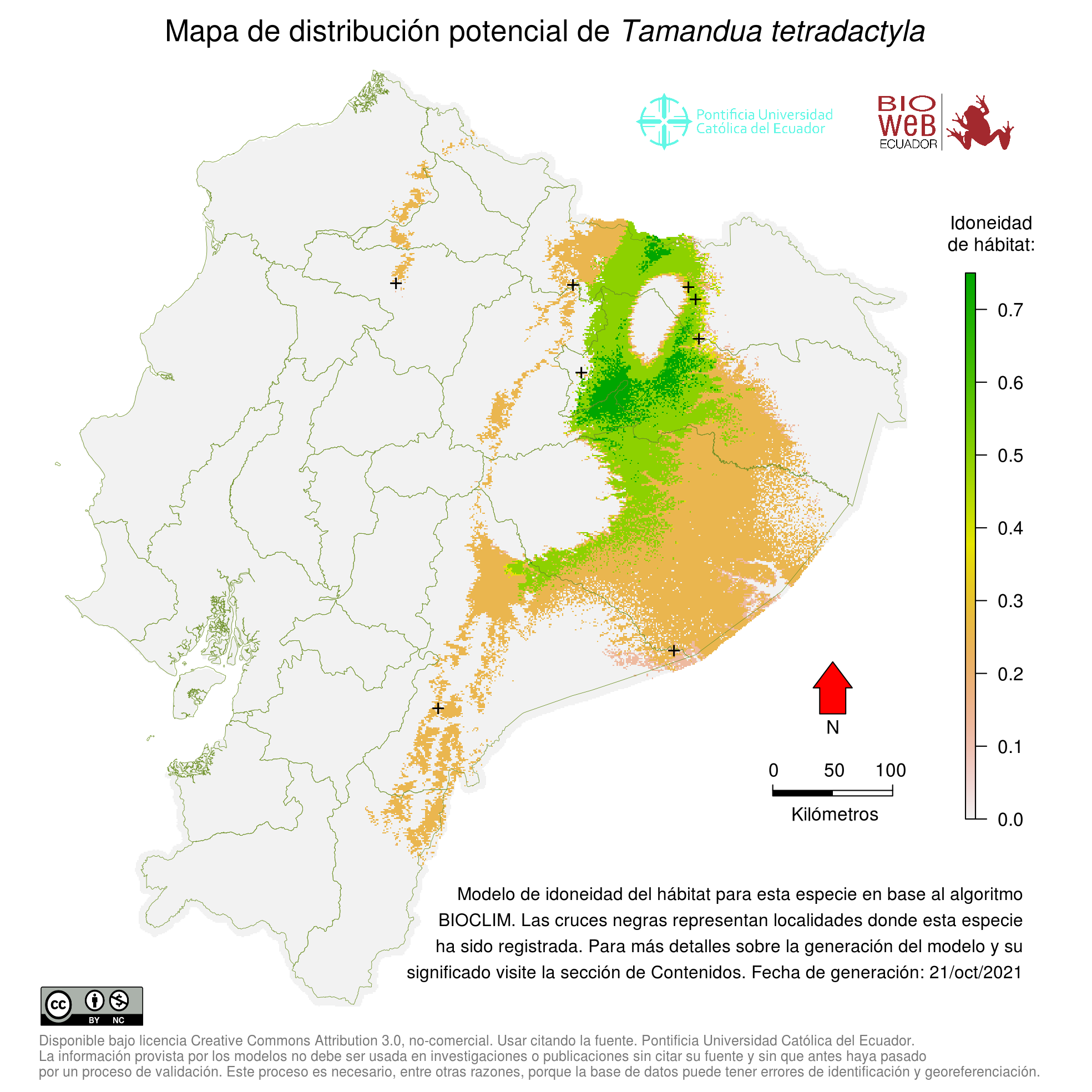 Sol la Tamandúa (Tamandua tetradactyla)
