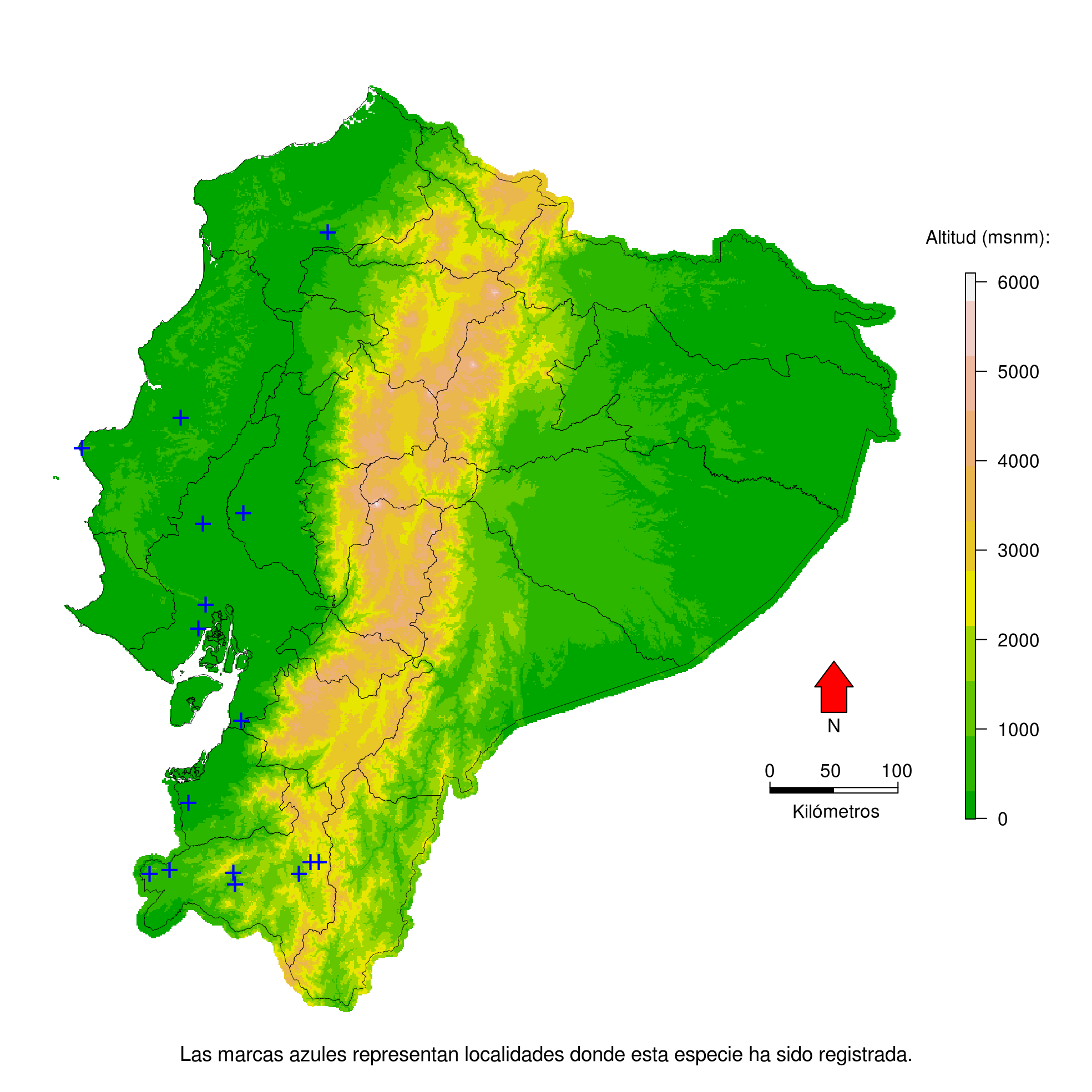 Galería Bioweb Ecuador