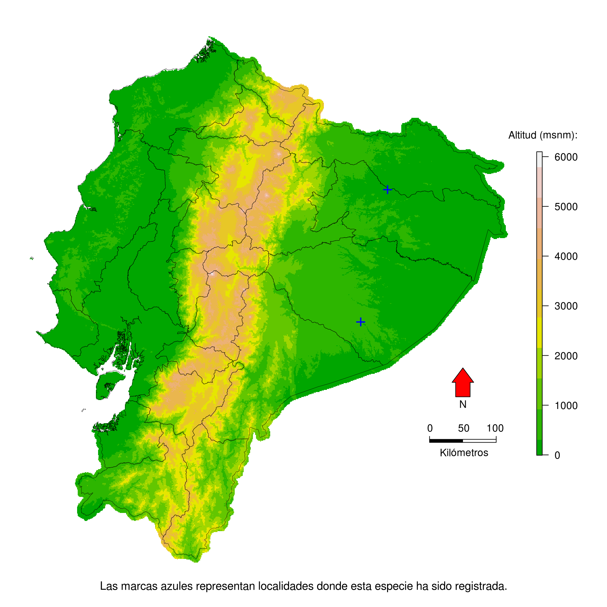 Galería Bioweb Ecuador