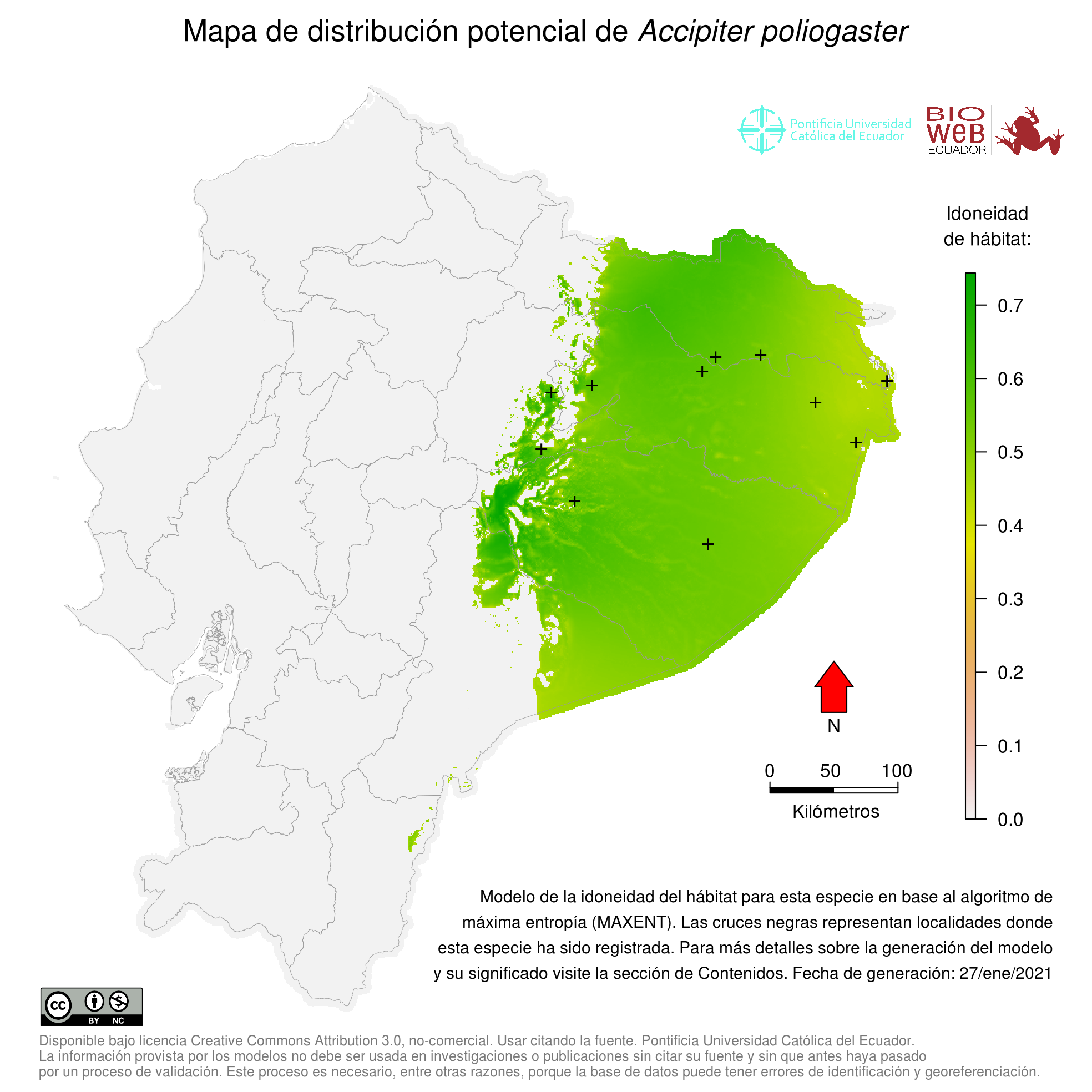 Galería Bioweb Ecuador