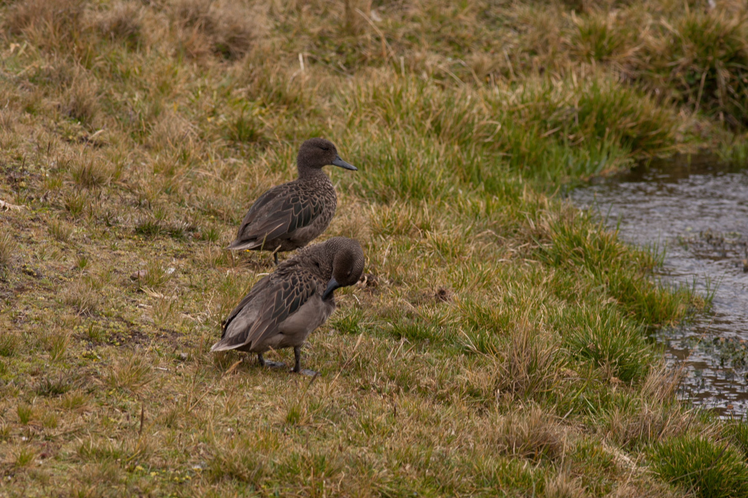 Galería Bioweb Ecuador