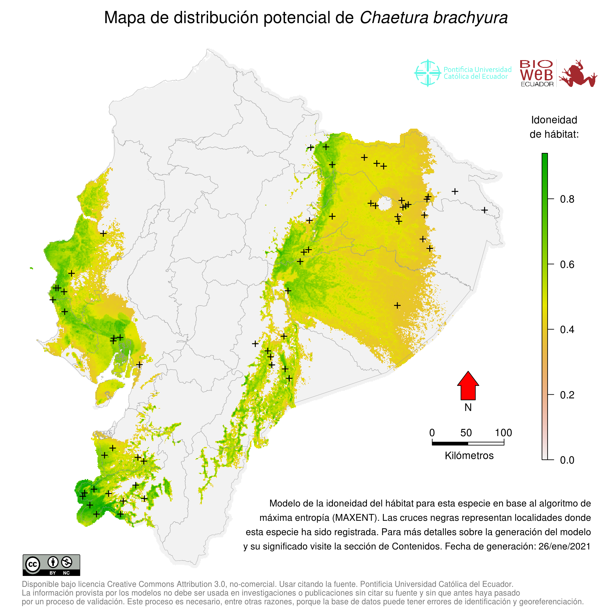 Galería Bioweb Ecuador