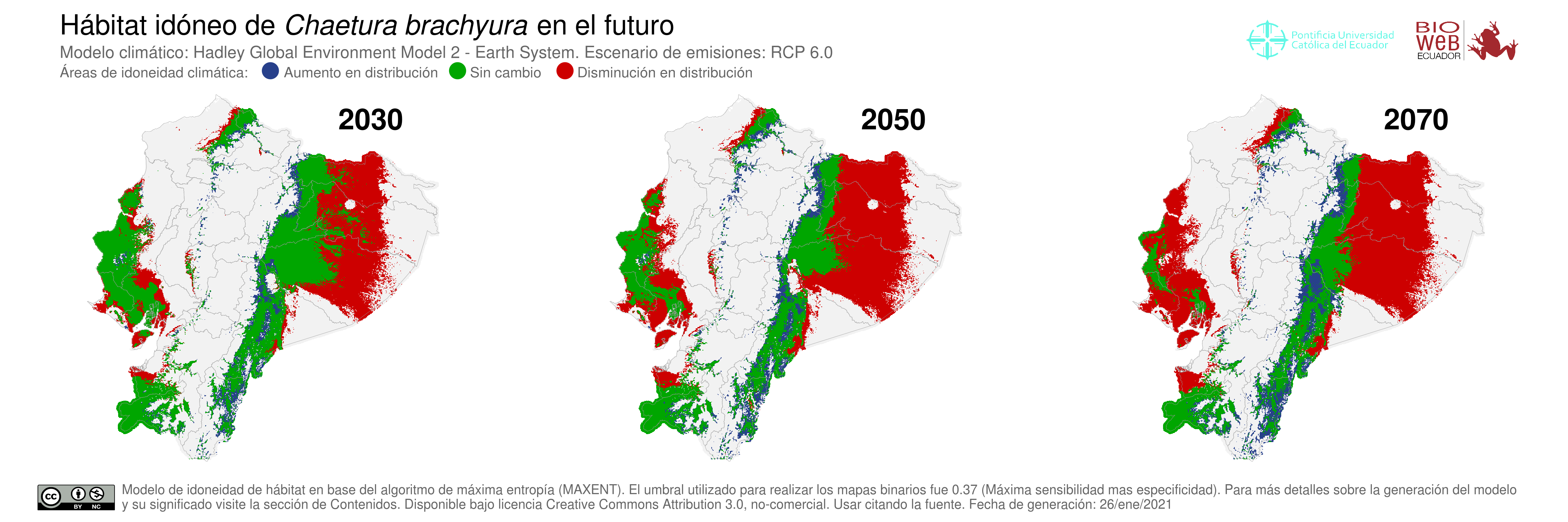 Galería Bioweb Ecuador