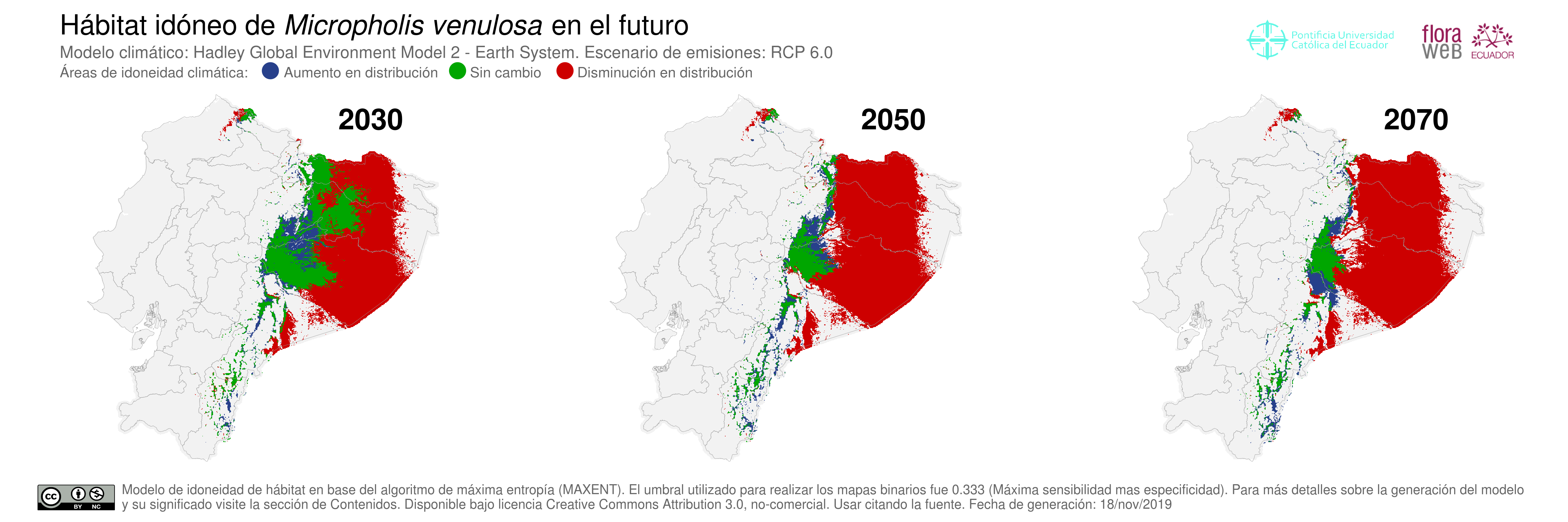 Árboles de Yasuní - Ecuador