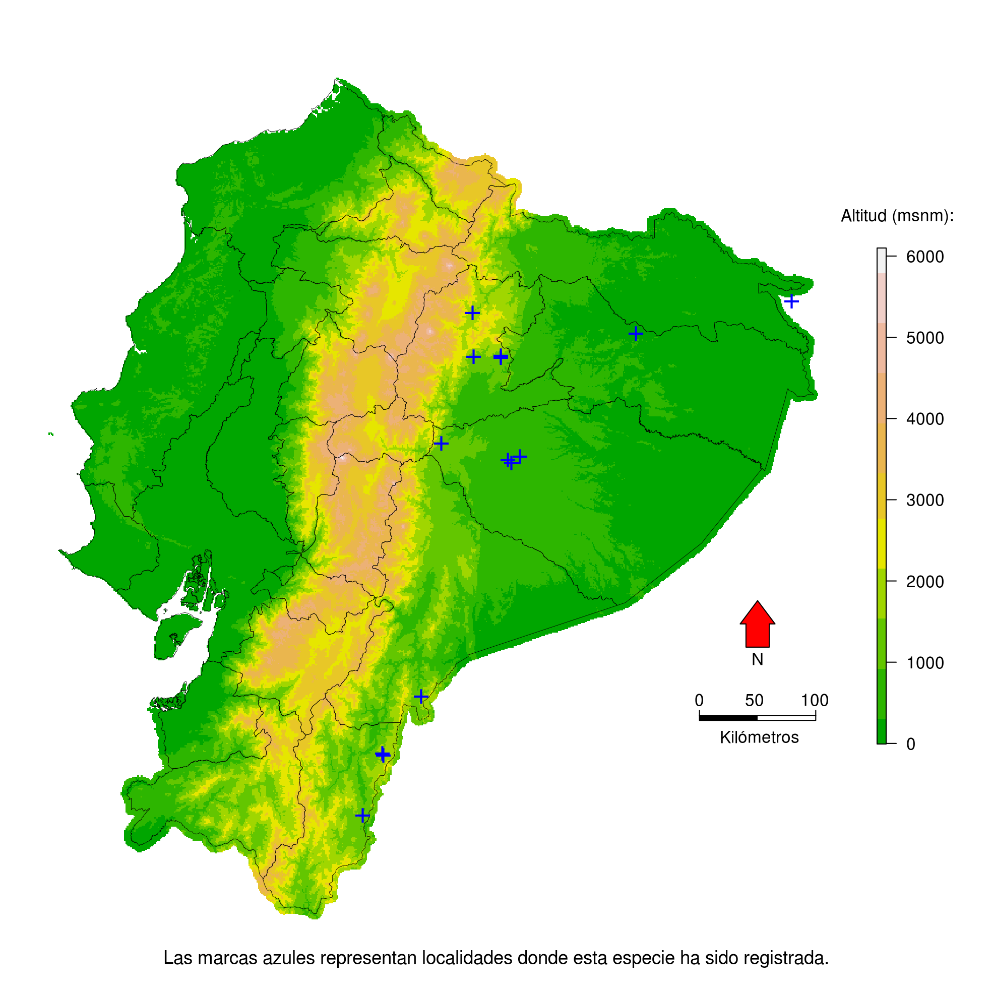 Galería Bioweb Ecuador