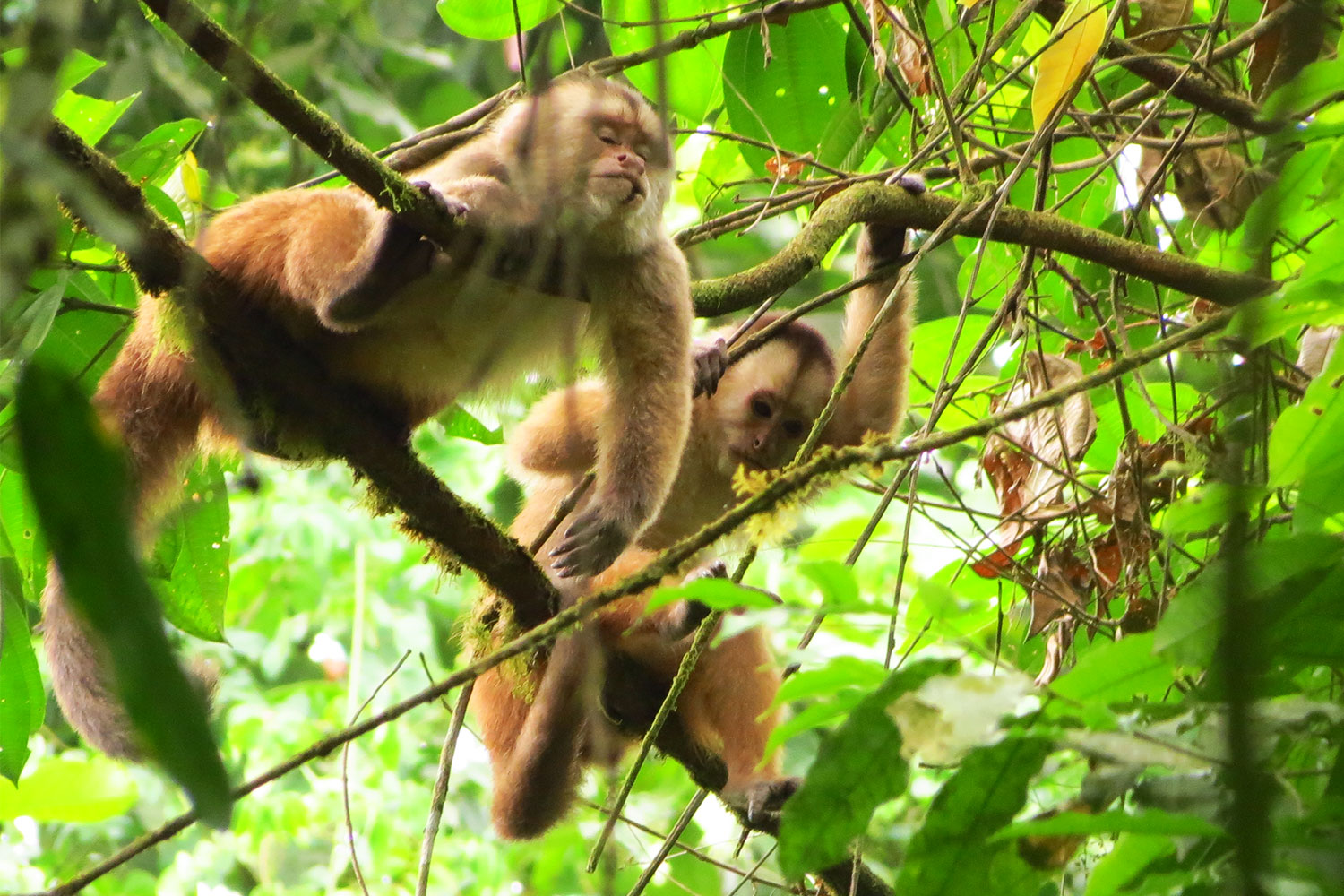Galería Bioweb Ecuador