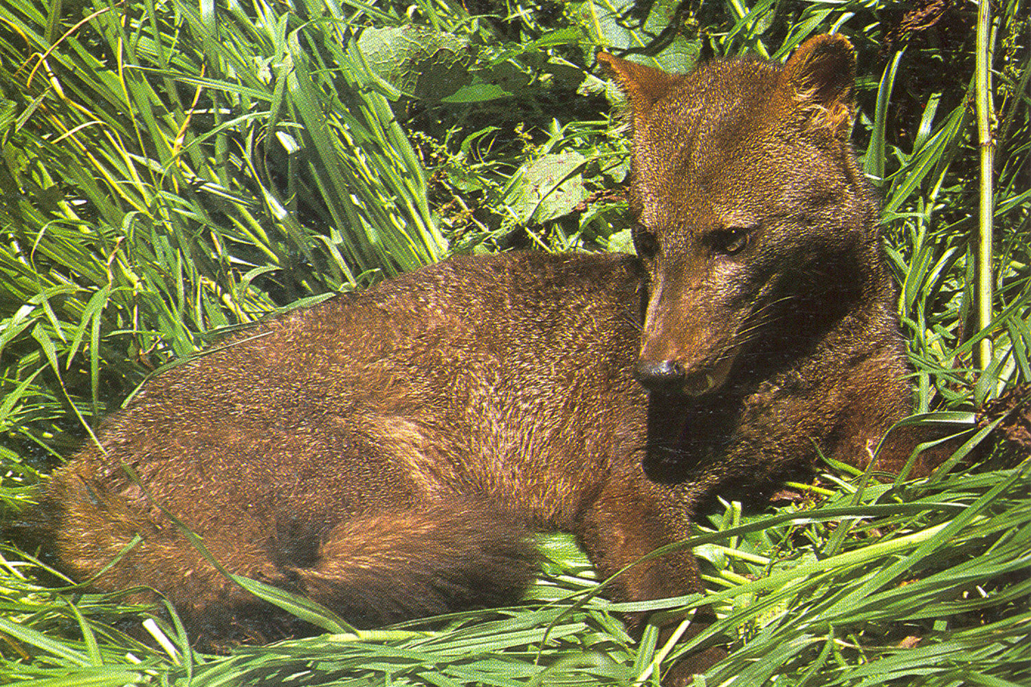 Galería Bioweb Ecuador