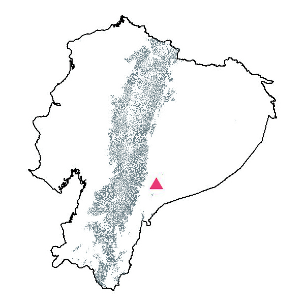 Libro rojo de las plantas endémicas del Ecuador