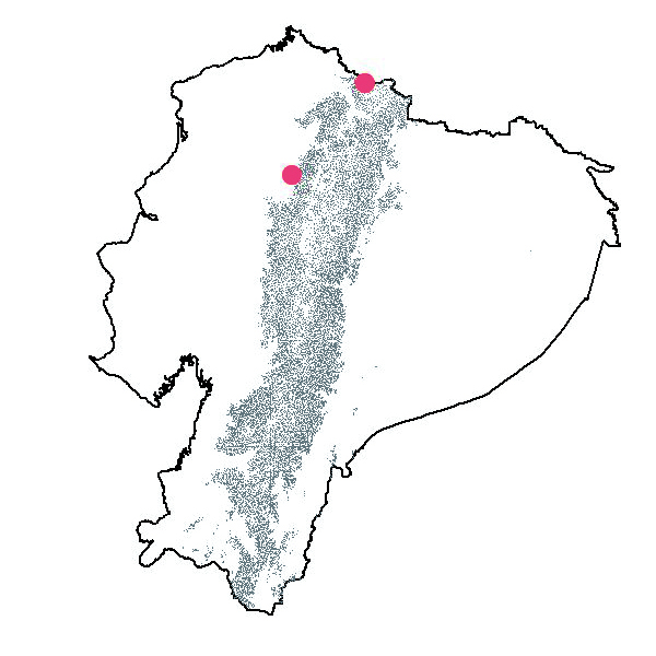 Libro rojo de las plantas endémicas del Ecuador