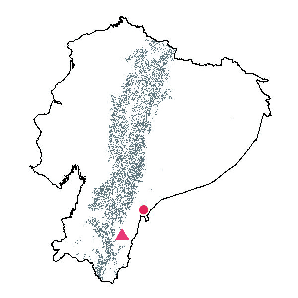 Libro rojo de las plantas endémicas del Ecuador