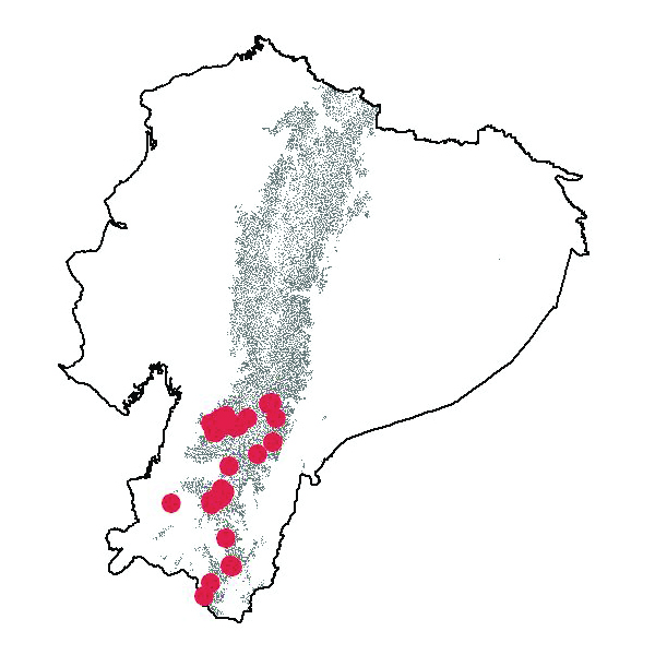 Libro rojo de las plantas endémicas del Ecuador