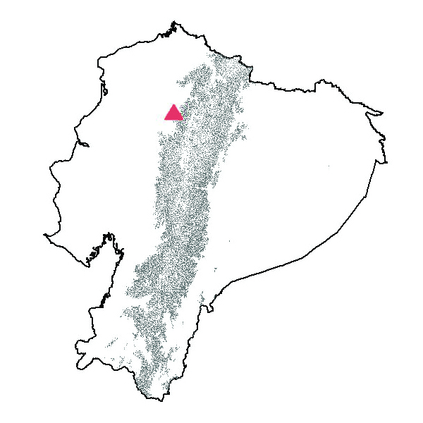 Libro rojo de las plantas endémicas del Ecuador