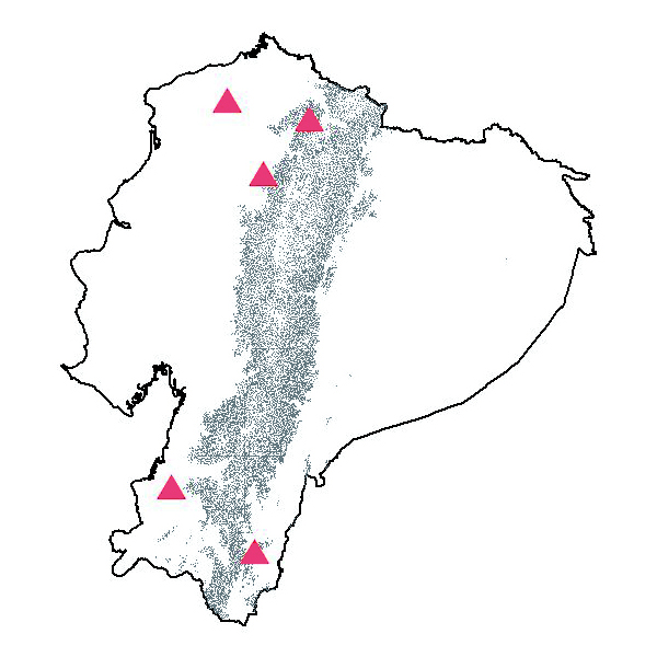 Libro rojo de las plantas endémicas del Ecuador