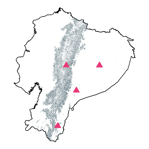 Libro rojo de las plantas endémicas del Ecuador