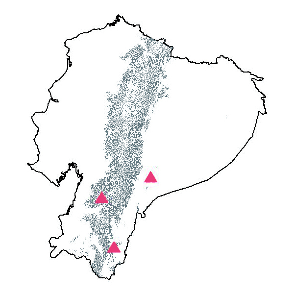 Libro rojo de las plantas endémicas del Ecuador