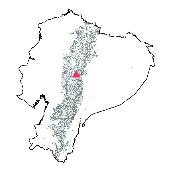 Libro rojo de las plantas endémicas del Ecuador