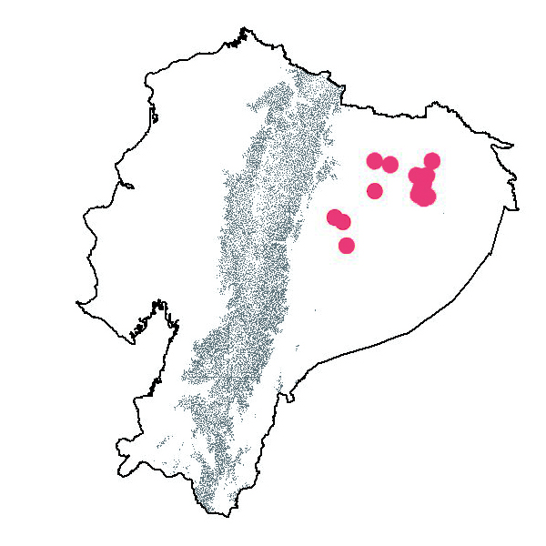 Libro rojo de las plantas endémicas del Ecuador
