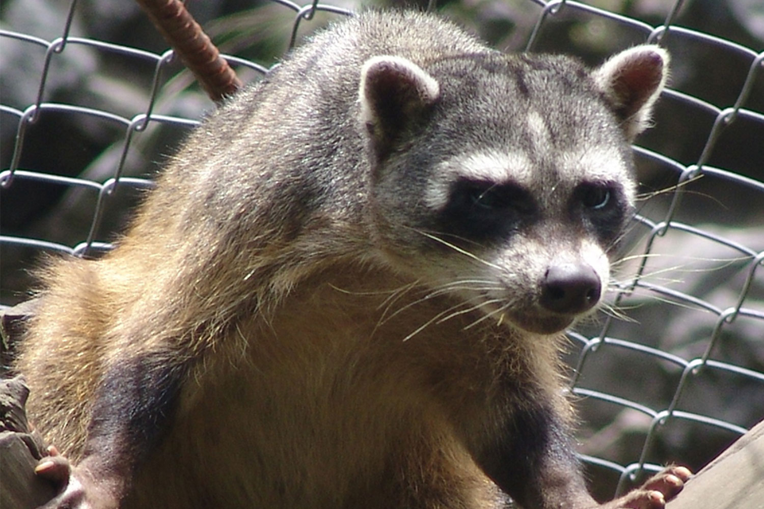 Galería Bioweb Ecuador