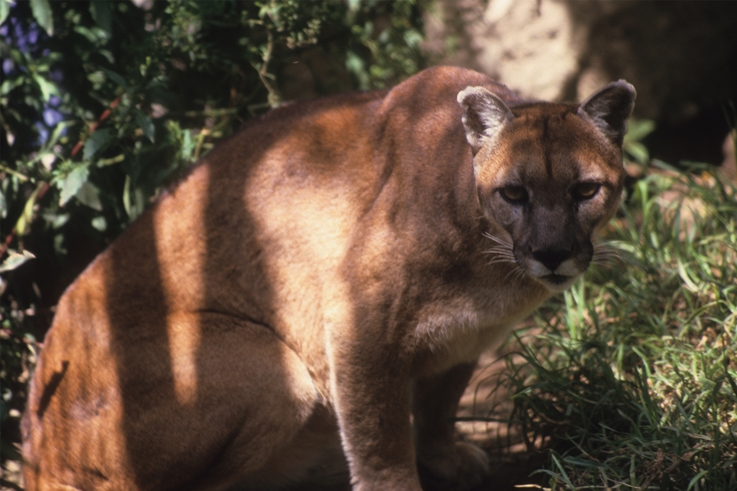 Galería Bioweb Ecuador