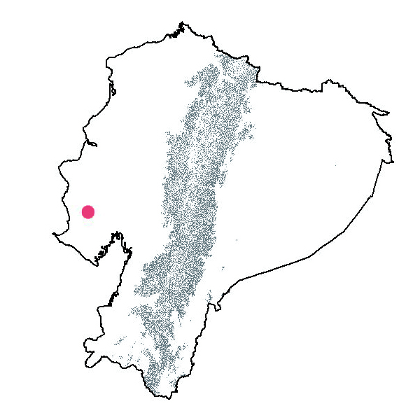 Libro rojo de las plantas endémicas del Ecuador