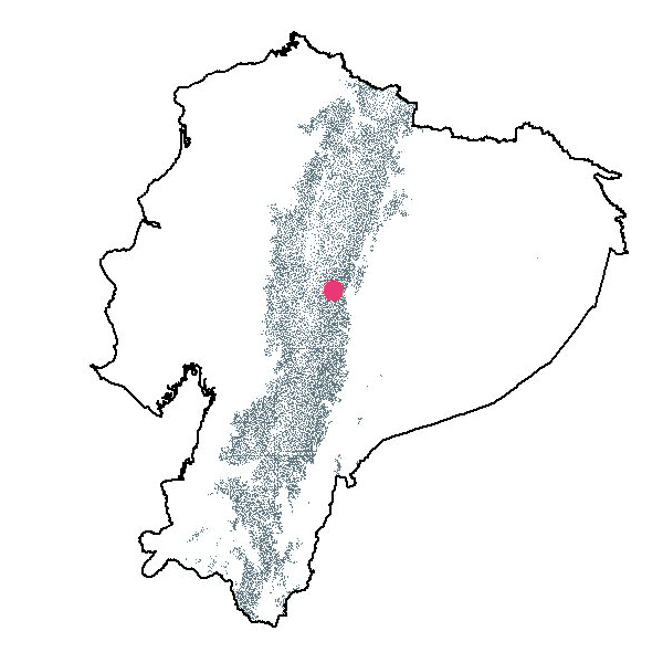 Libro rojo de las plantas endémicas del Ecuador