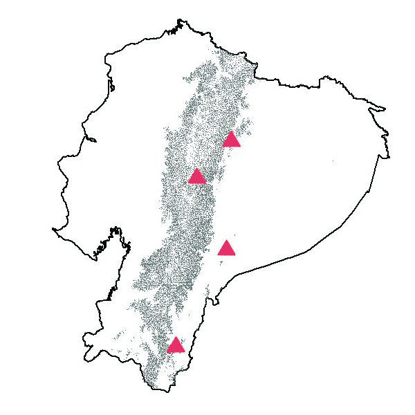 Libro rojo de las plantas endémicas del Ecuador