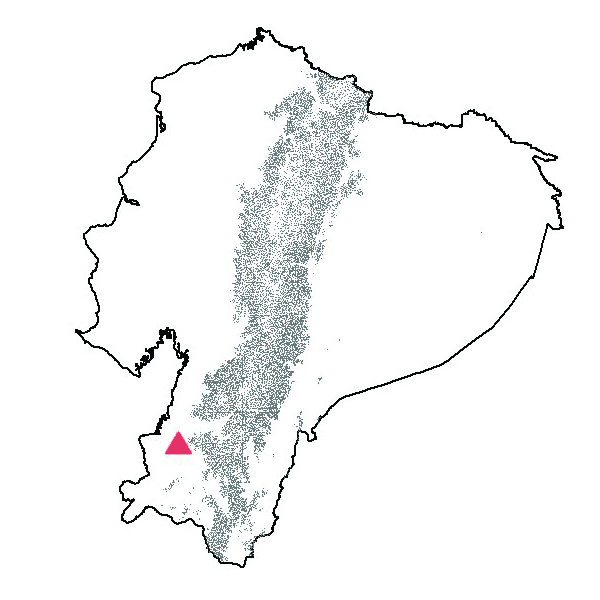 Libro rojo de las plantas endémicas del Ecuador