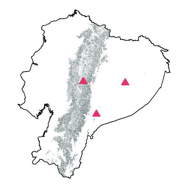 Libro rojo de las plantas endémicas del Ecuador