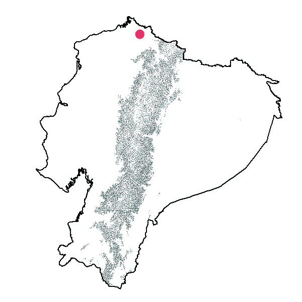 Libro rojo de las plantas endémicas del Ecuador